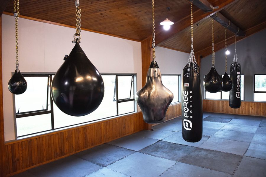 Gallery - Forge Boxing